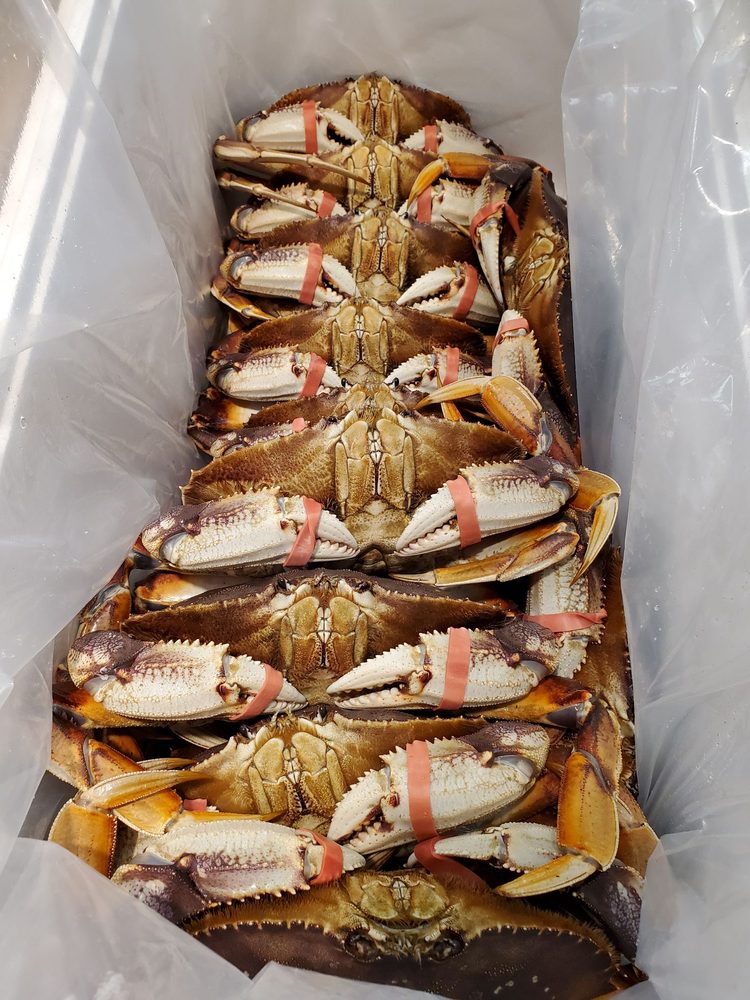 FRESH MEAT SEAFOOD MARKET - 200 Photos & 85 Reviews - 2704 Mission St ...