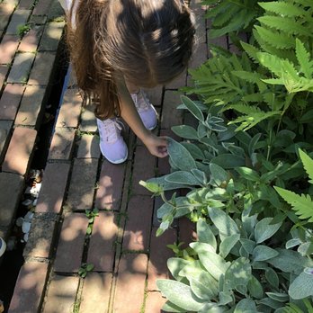 THE MADOO CONSERVANCY - Updated December 2025 - 17 Photos - 618 Sagg ...