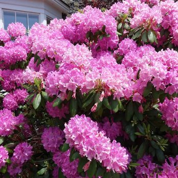 MIDDLESEX FELLS RESERVATION - Updated July 2024 - 231 Photos & 147 ...