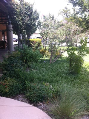 FLOWER MOUND PUBLIC LIBRARY - Updated July 2025 - 25 Photos & 14 ...