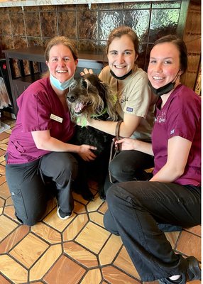 CRYAN VETERINARY HOSPITAL - Updated December 2025 - 50 Photos & 18 ...