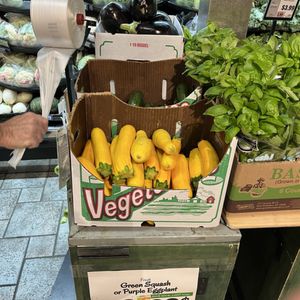 GARGIULO PRODUCE - Updated October 2025 - 535 Sweetland Ave, Hillside ...