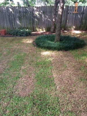 KING RANCH TURFGRASS - Updated January 2026 - 26 Photos & 66 Reviews ...