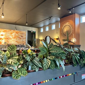 PINK SALT RESTAURANT - 217 Photos & 141 Reviews - 3321 W McGraw St ...