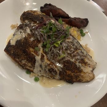 TARK’S GRILL & BAR - Updated December 2025 - 420 Photos & 339 Reviews ...