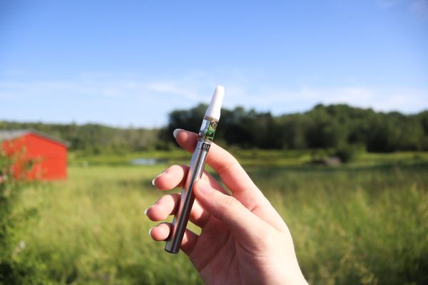 BERKSHIRE ROOTS - Updated June 2025 - 101 Photos & 47 Reviews - 501 ...