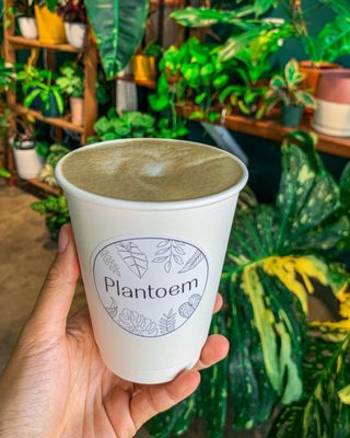 PLANTOEM - Updated June 2024 - 446 Photos & 97 Reviews - 3457 Waialae ...