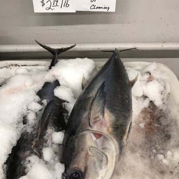 J DELUCA FISH COMPANY - Updated December 2025 - 56 Photos & 17 Reviews ...