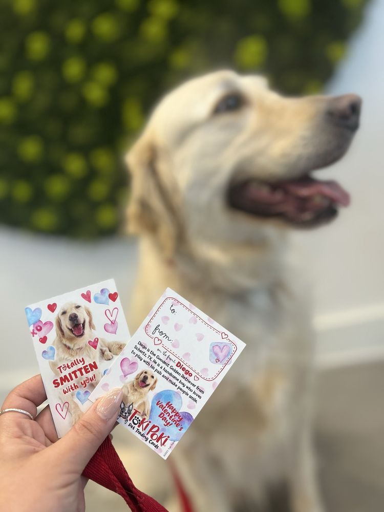 TOKI POKI - Updated February 2025 - 16398 N Evans Rd, Selma, Texas ...