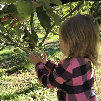 RED APPLE BARN - Updated October 2025 - 49 Photos & 25 Reviews - 3379 ...