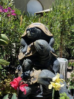 MESQUITE VALLEY GROWERS NURSERY - 413 Photos & 206 Reviews - 8005 E ...