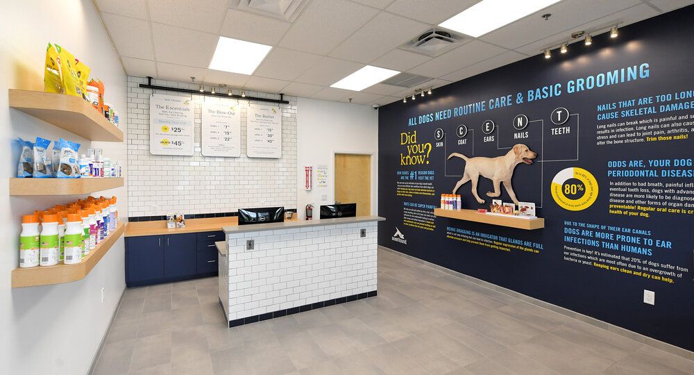 SCENTHOUND - Updated December 2025 - 13 Photos - 5190 Medford Dr ...