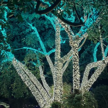 LIGHTSCAPE SAN DIEGO - Updated November 2024 - 189 Photos & 38 Reviews ...