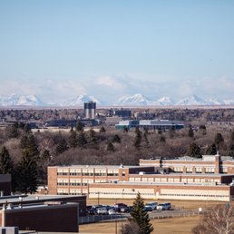 WATER TOWER GRILL & BAR - Updated January 2026 - 79 Photos & 33 Reviews ...