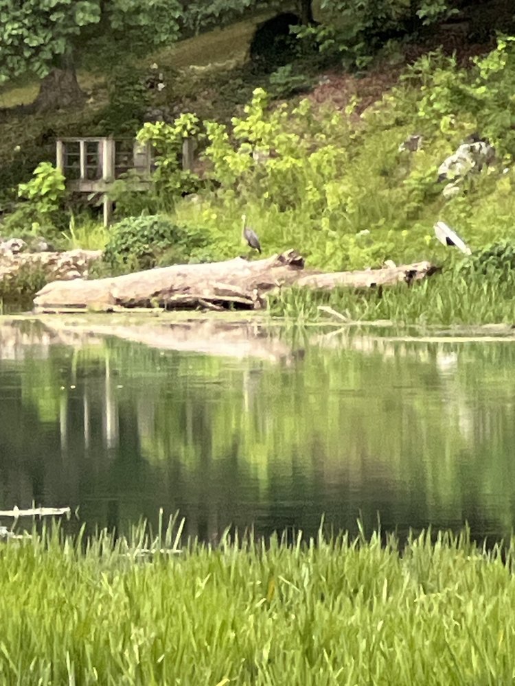 MAMMOTH SPRING RV PARK & CABINS - Updated September 2025 - 12 Photos ...