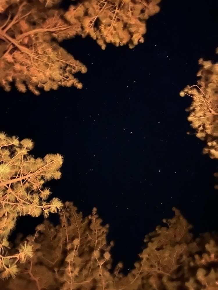 CAMP AREV RETREAT AND CONFERENCE CENTER - Updated October 2025 - 40 ...