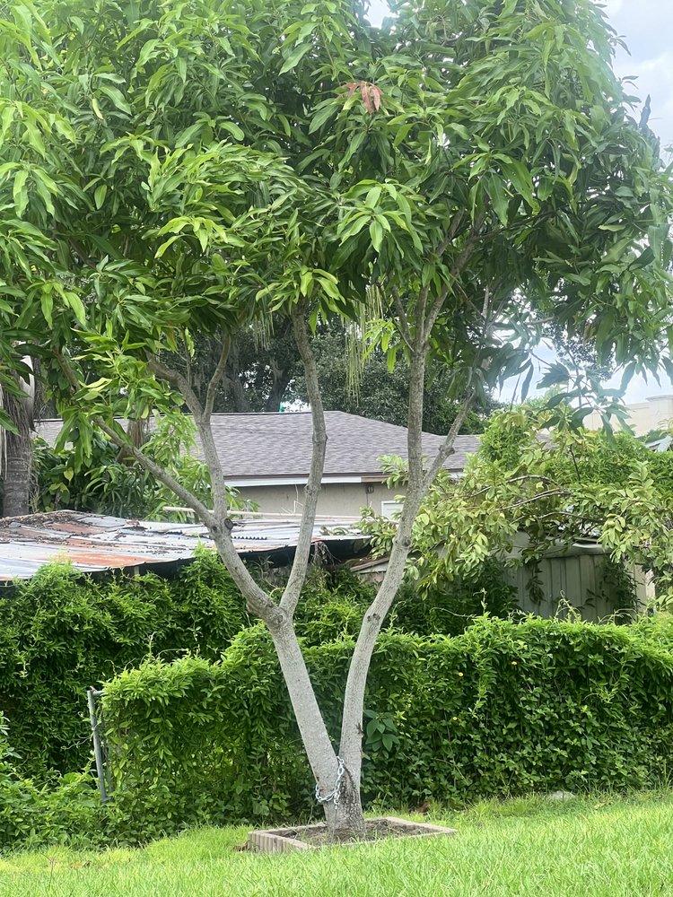 LB LANDSCAPING SERVICES - Updated June 2025 - Orlando, Florida - Lawn ...