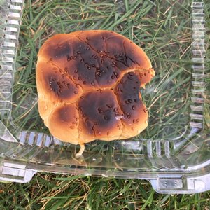 OOH DAT CHICKEN - 72 Photos & 94 Reviews - Food Trucks - Washington, DC ...