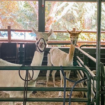 REMLINGER FARMS - Updated August 2024 - 587 Photos & 257 Reviews ...