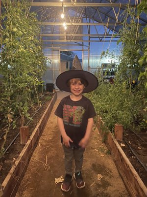 URBAN ROOTS - Updated September 2025 - 28 Photos & 14 Reviews - 1700 E ...