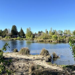 COOK PARK - Updated August 2025 - 48 Photos & 33 Reviews - 17005 SW ...