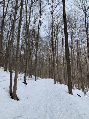 PARC NATIONAL D’OKA - 30 Photos & 15 Reviews - 2020 Chemin d'Oka, Oka ...