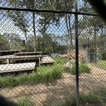 CATTY SHACK RANCH WILDLIFE SANCTUARY - Updated October 2025 - 702 ...