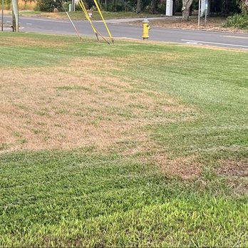 MARSHALL PEST CONTROL - Updated September 2025 - 11 Photos & 14 Reviews ...