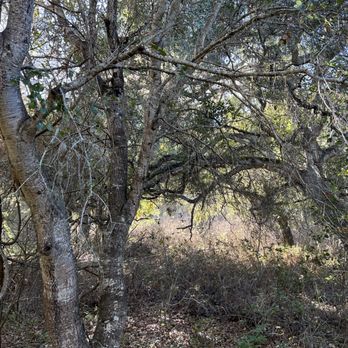 GARLAND RANCH REGIONAL PARK - Updated December 2025 - 396 Photos & 115 ...