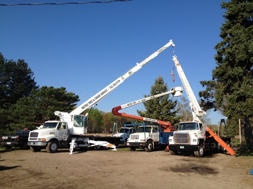 MINNEAPOLIS METRO TREE AND CRANE - TREE PRUNING - Updated June 2024 ...