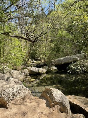 RIVER PLACE NATURE TRAIL - 460 Photos & 218 Reviews - Hiking - 8830 Big ...