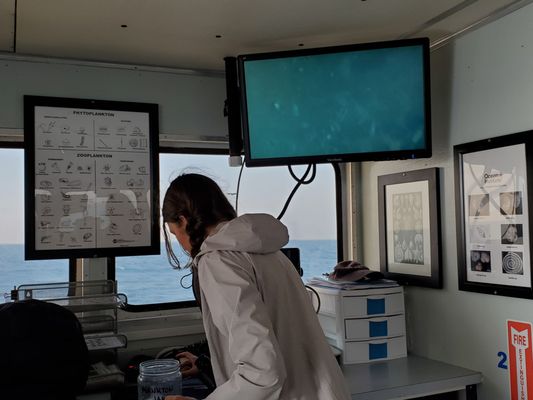 OCEAN INSTITUTE - Updated October 2025 - 149 Reviews & 472 Photos ...