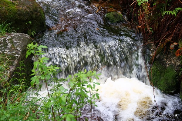 QUELLE WEISSER MAIN - Fichtelberg, Bayern, Germany - Active Life - Yelp