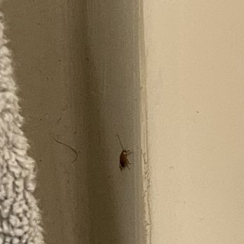 CABOT CROSSING - Updated October 2025 - 56 Photos & 27 Reviews - 130 ...