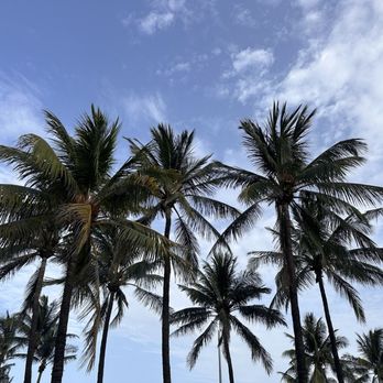 THE GABRIEL MIAMI SOUTH BEACH, CURIO COLLECTION BY HILTON - Updated ...