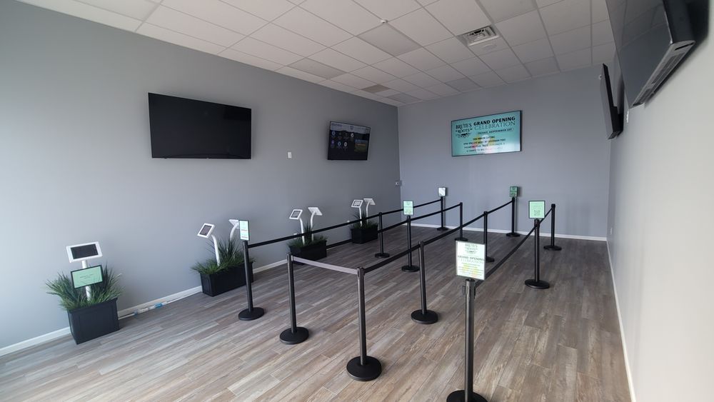 BRUTE’S ROOTS - Updated February 2025 - 10 Reviews - 6206 Black Horse ...