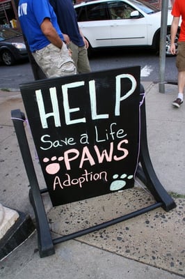 PAWS DOWNTOWN ADOPTION CENTER - Updated December 2025 - 30 Photos & 73 ...