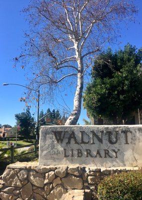 LA COUNTY LIBRARY - WALNUT LIBRARY - Updated December 2025 - 22 Photos ...
