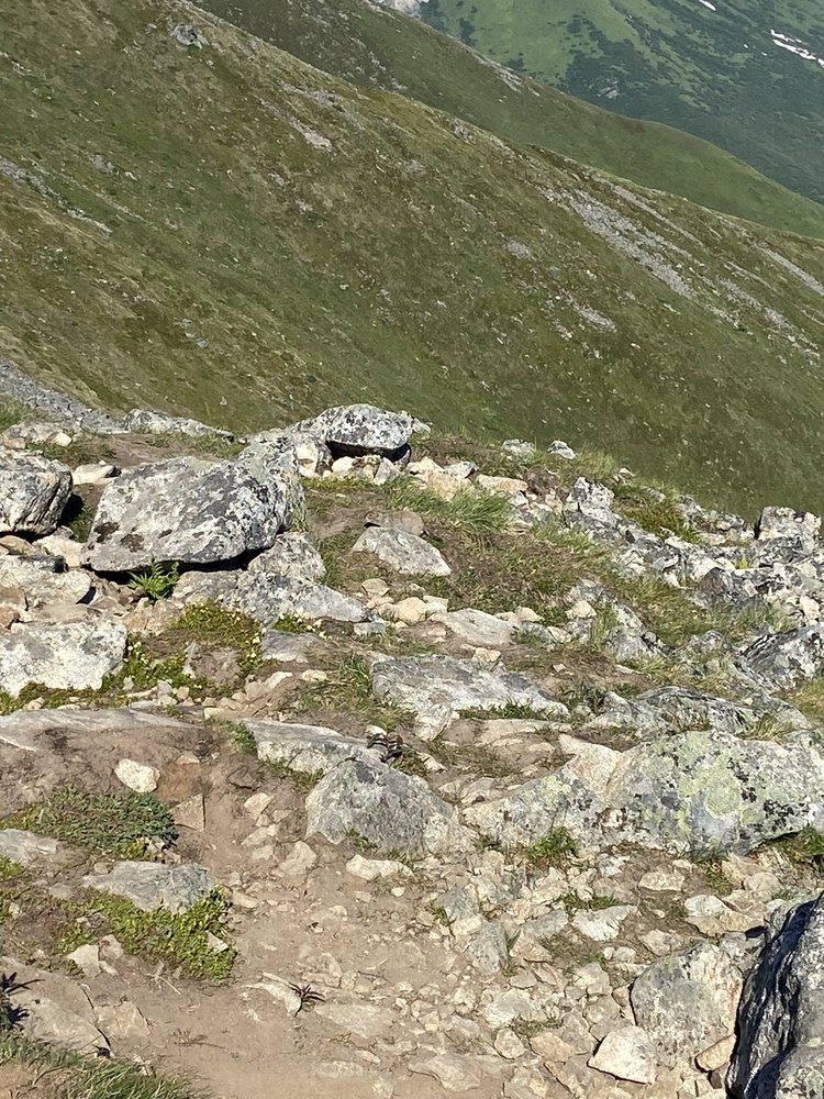 FISHHOOK TRAILHEAD - Updated July 2024 - 11 Photos - Fishhook-Willow Rd ...