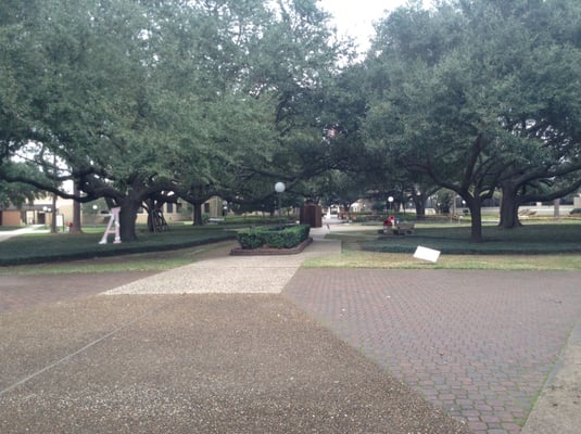LAMAR UNIVERSITY - Updated May 2026 - 22 Photos & 12 Reviews - 4400 MLK ...