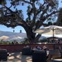 BRICK BARN WINE ESTATE - 243 Photos & 198 Reviews - 795 W Hwy 246 ...