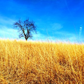 BINKY LEE PRESERVE - NATURAL LANDS - Updated June 2025 - 40 Photos ...