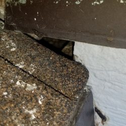 4 SEASONS PEST MANAGEMENT - 27 Photos & 11 Reviews - Pest Control ...