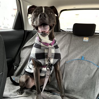 DUKE ANIMAL HOSPITAL - Updated September 2024 - 41 Photos & 247 Reviews ...