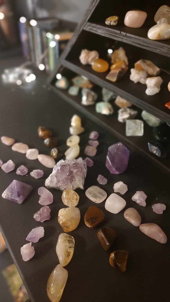 PISCEAN UNTAMED - Updated December 2024 - 13 Photos - 303 Hamilton Ave NE, Live Oak, Florida ...