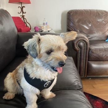 RIVERSIDE COUNTY DEPARTMENT OF ANIMAL SERVICES - Updated December 2025 ...