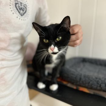 CATFE MONTCLAIR - Updated December 2025 - 35 Photos & 12 Reviews - 356 ...