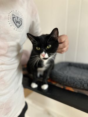 CATFE MONTCLAIR - Updated December 2025 - 35 Photos & 12 Reviews - 356 ...