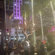 YOLO - 1721 Photos & 1383 Reviews - 333 E Las Olas Blvd, Fort ...