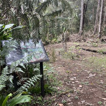 KALOPA STATE PARK - Updated December 2025 - 29 Photos & 12 Reviews - 44 ...